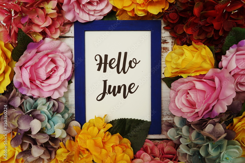 Hello June Card with colorful flowers border frame on wooden background ...