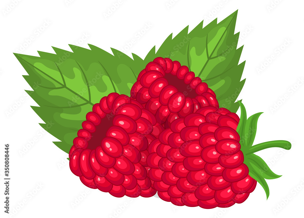 Fresh bright exotic whole raspberries with leaves isolated on white ...