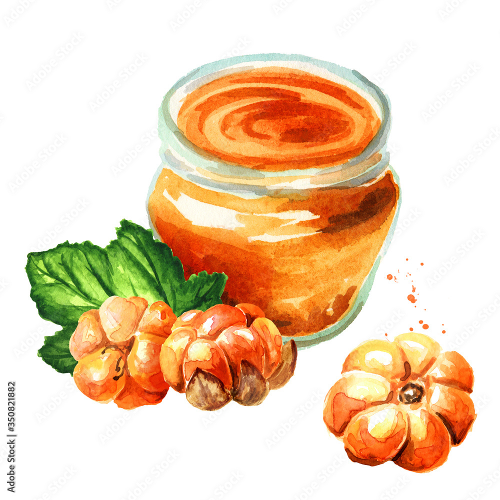 Cloudberry jam jar with northern forest berry cloudberry. Hand drawn ...
