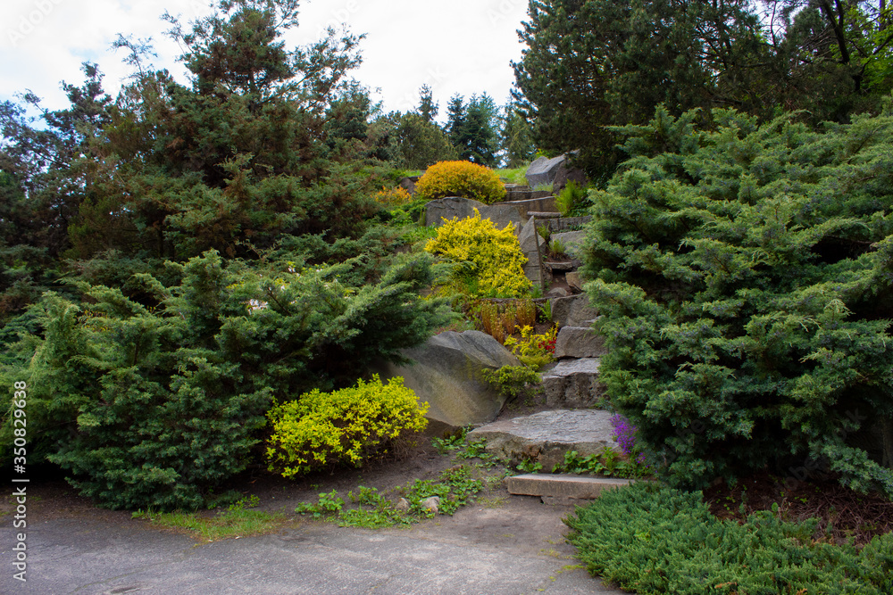 Alpine slide in landscape design. Alpine plants and bushes in the Lodz ...