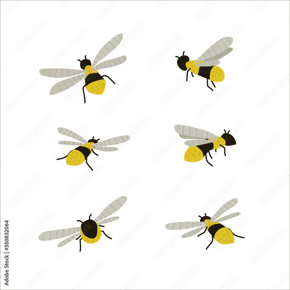 Bumblebee Bug Flying