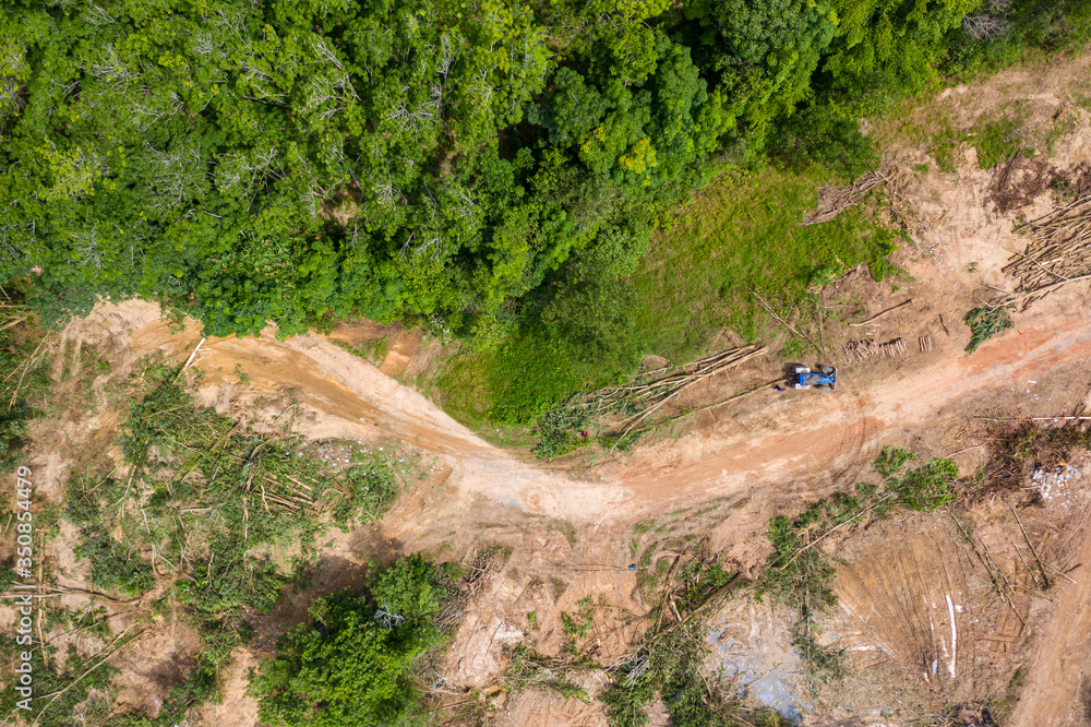 Top down aerial view of deforestation and logging in a tropical ...