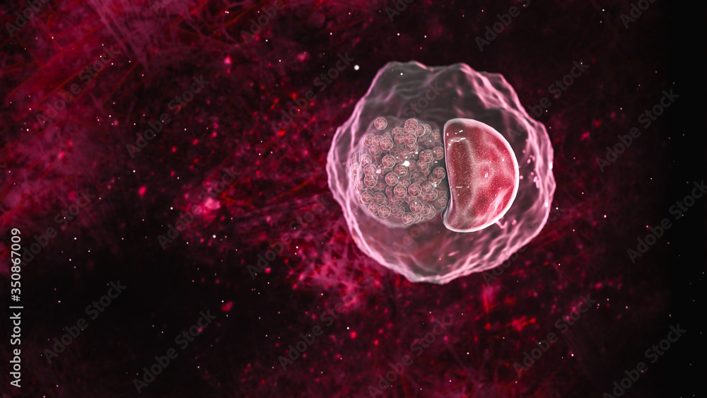 Science Photo of bacteria Chlamydia is a common sexually transmitted ...