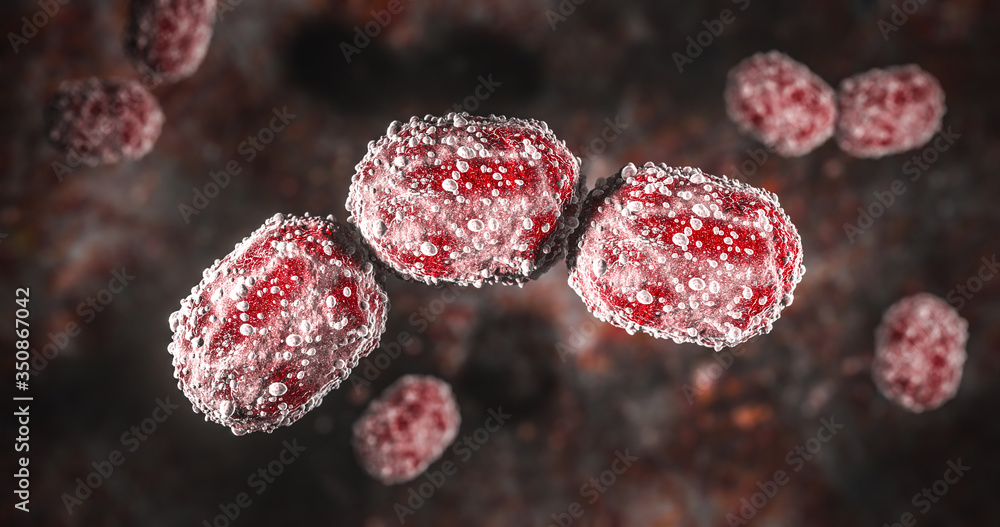 Science Photo of bacteria A coccobacillus is a type of bacterium with a ...