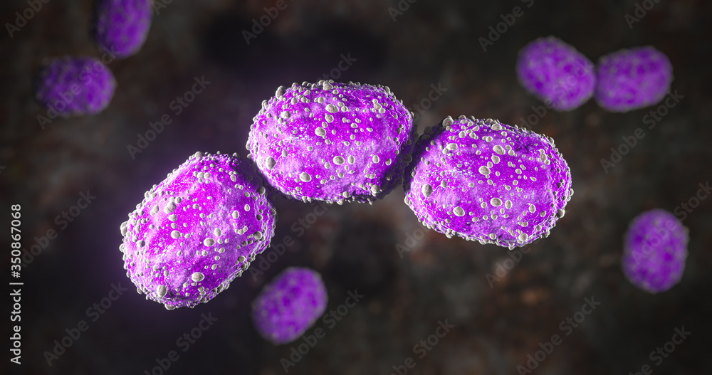 Science Photo of bacteria A coccobacillus is a type of bacterium with a ...