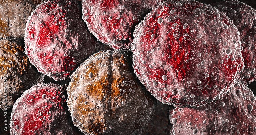 Science Photo of bacteria A coccus is any bacterium or archaeon that ...