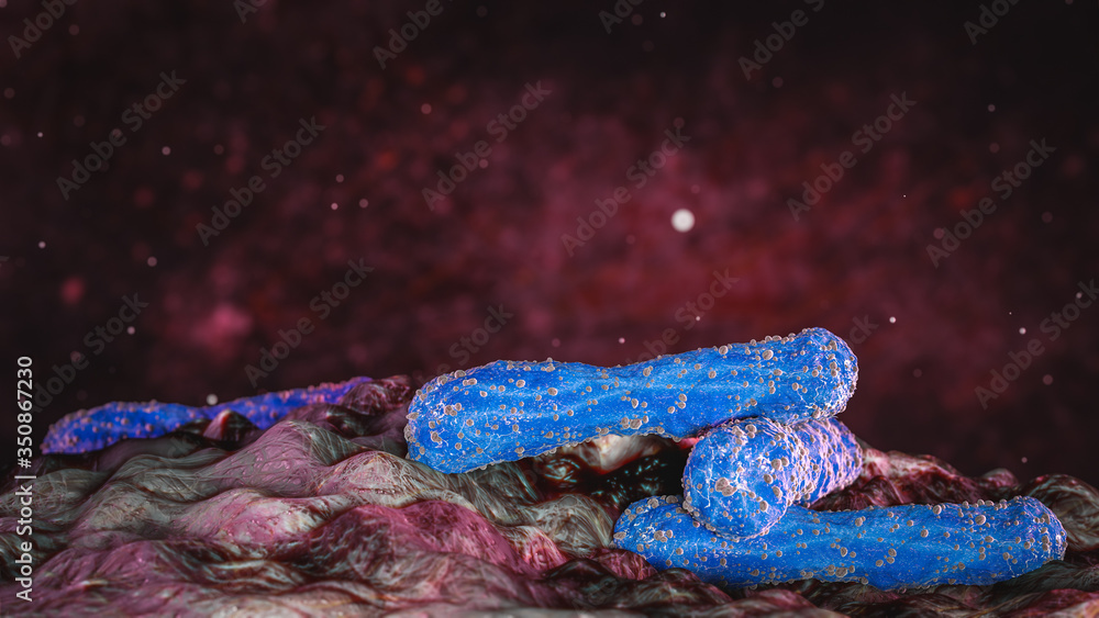 Science Photo of bacteria Corynebacterium is a genus of bacteria that ...