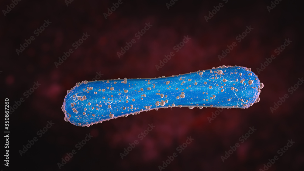 Science Photo of bacteria Corynebacterium is a genus of bacteria that ...