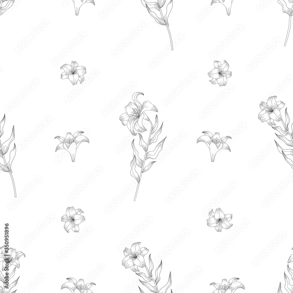 Seamless pattern with beautiful garden flowers - lilies. Coloring page ...