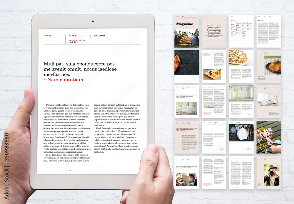 Creative Modern Digital Lifestyle Magazine Layout with RedAccents Stock ...