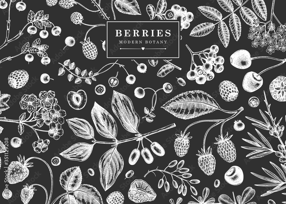 Hand drawn berries design on a chalkboard. Wild berries and flower ...