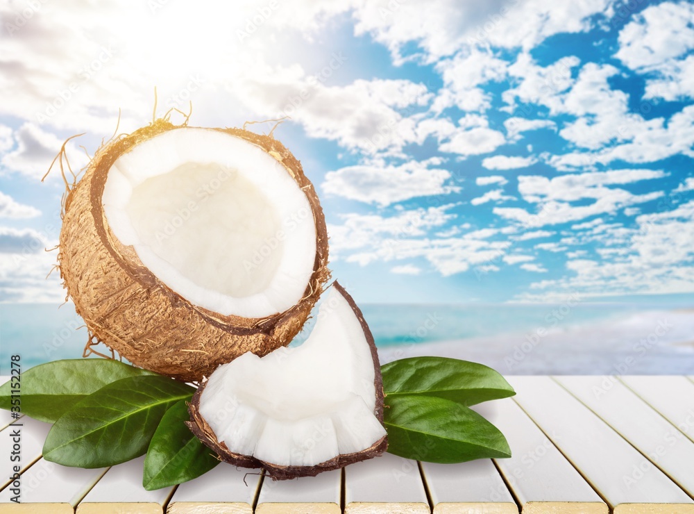 Coco. Stock Photo | Adobe Stock