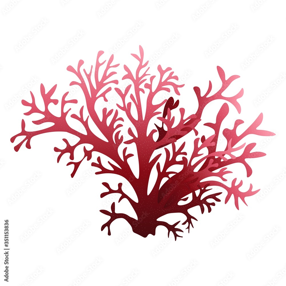 Sea red coral isolated on white background, stock vector illustration ...
