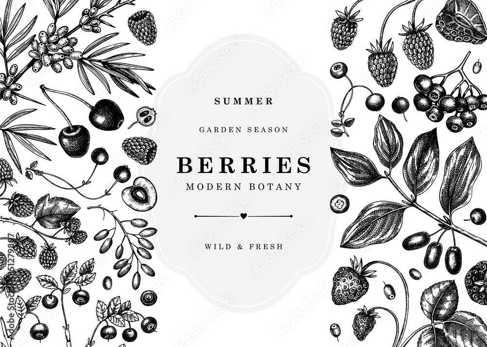 Vintage berries banner design. Wild berries and flowers frame isolated ...