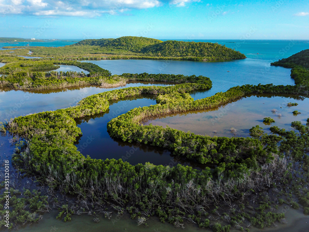 Aerial View of bioluminescent bay found in the southern town of Lajas a ...