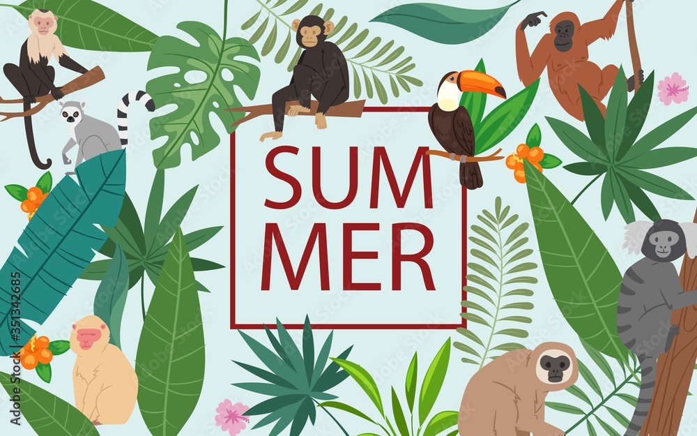 Monkeys and tropical leaves and summer frame vector illustration poster ...