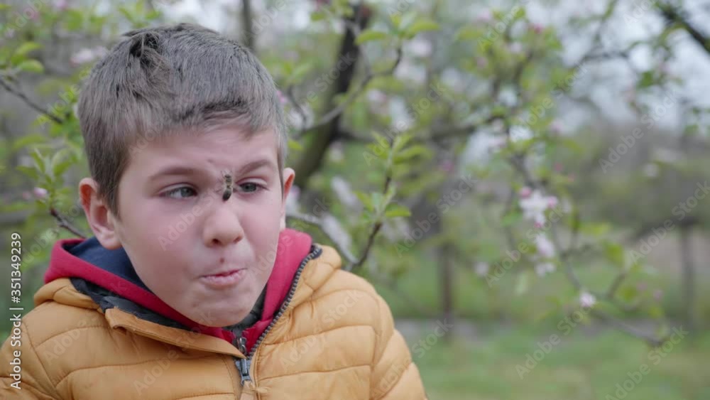 portrait of a funny boy who has a honey bee on his face, a forgotten ...