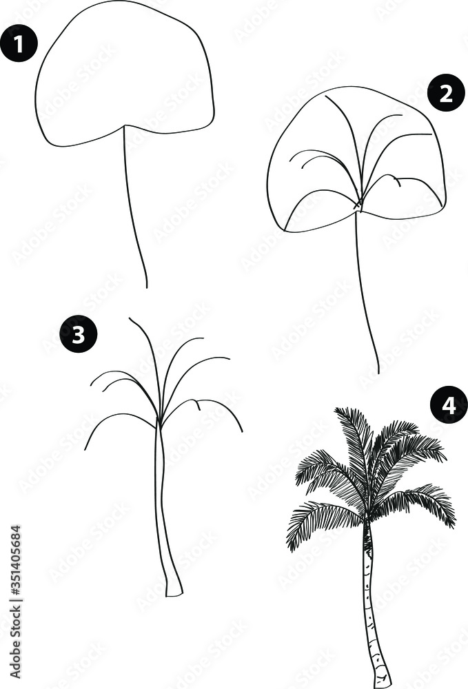 Palm Trees Draw Step Step