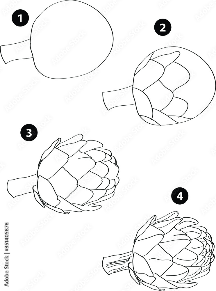 Drawing learn step by step tutorial techniques plants set with ...