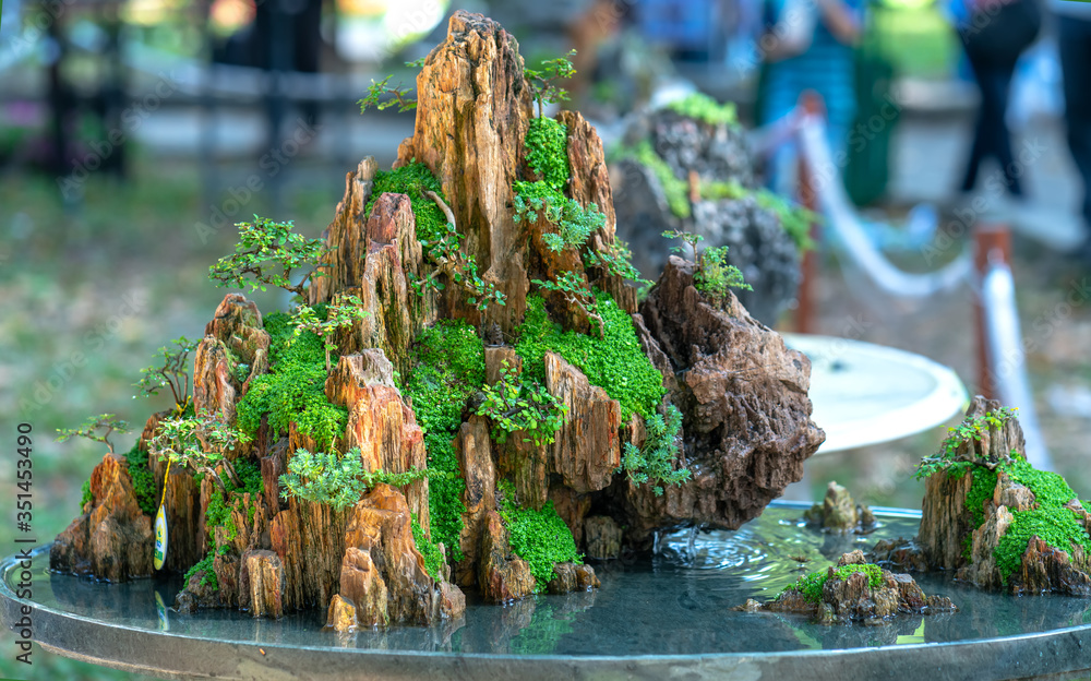 Foto de Penjing miniature in a tray in the shape of the stem is shaped ...