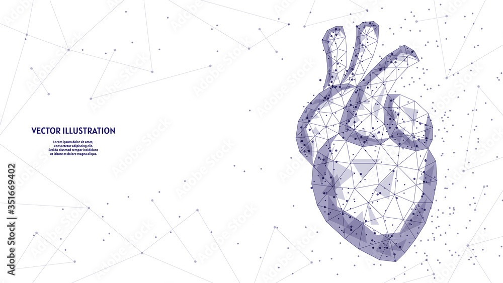 Human heart close up. Organ anatomy. Blood supply system. Hypertension ...