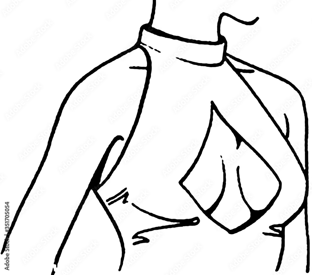 Female Breast Drawing Tutorial Drawing A Woman S Body With An Emphasis