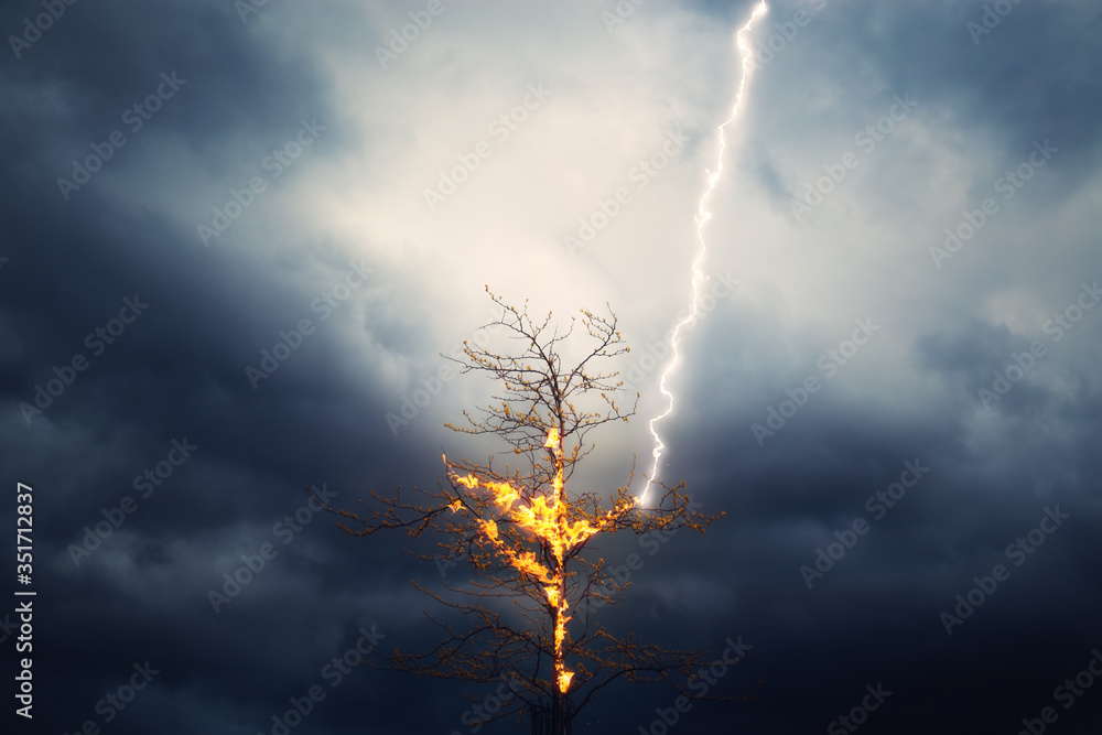 Fotografia do Stock: Blitz schlägt bei Unwetter in ein Baum und fängt ...