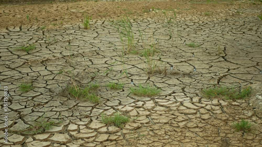Drought cracked pond wetland, swamp very drying up the soil crust earth ...