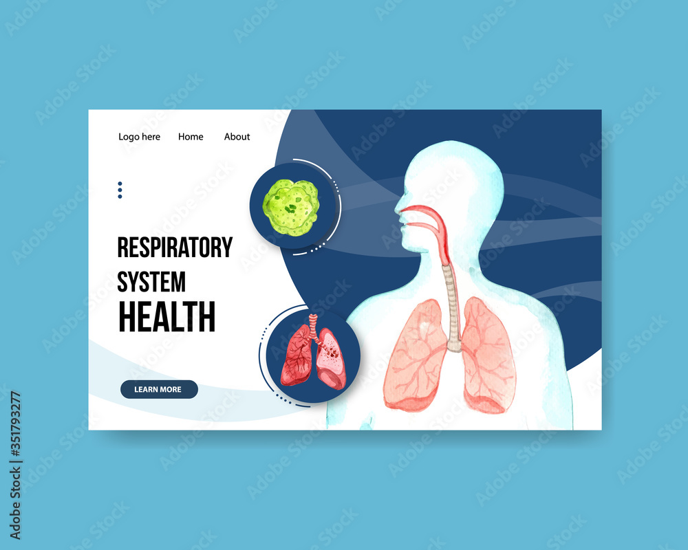 respiratory system design for website template with Human Anatomy of ...