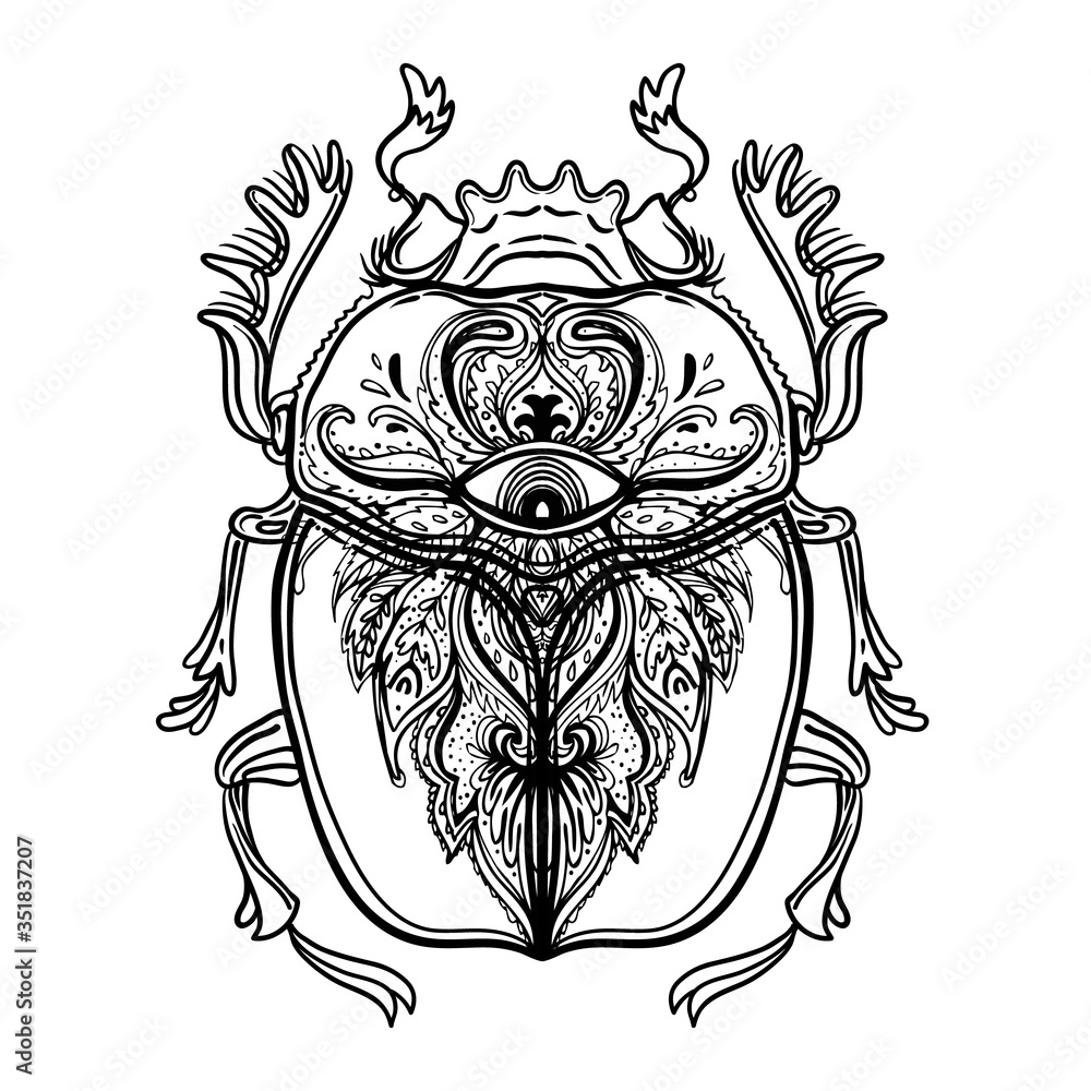 Scarabaeus sacer, Dung beetle. Sacred symbol of in ancient Egypt ...