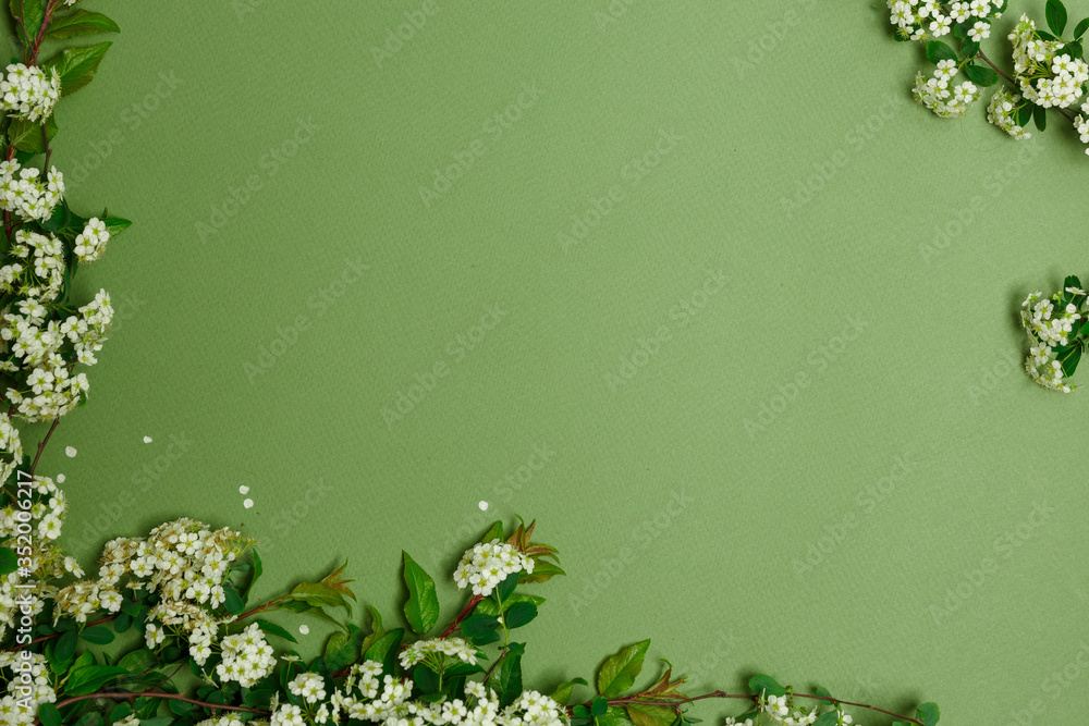 Beautiful spring tiny white flowers on green background in form of ...