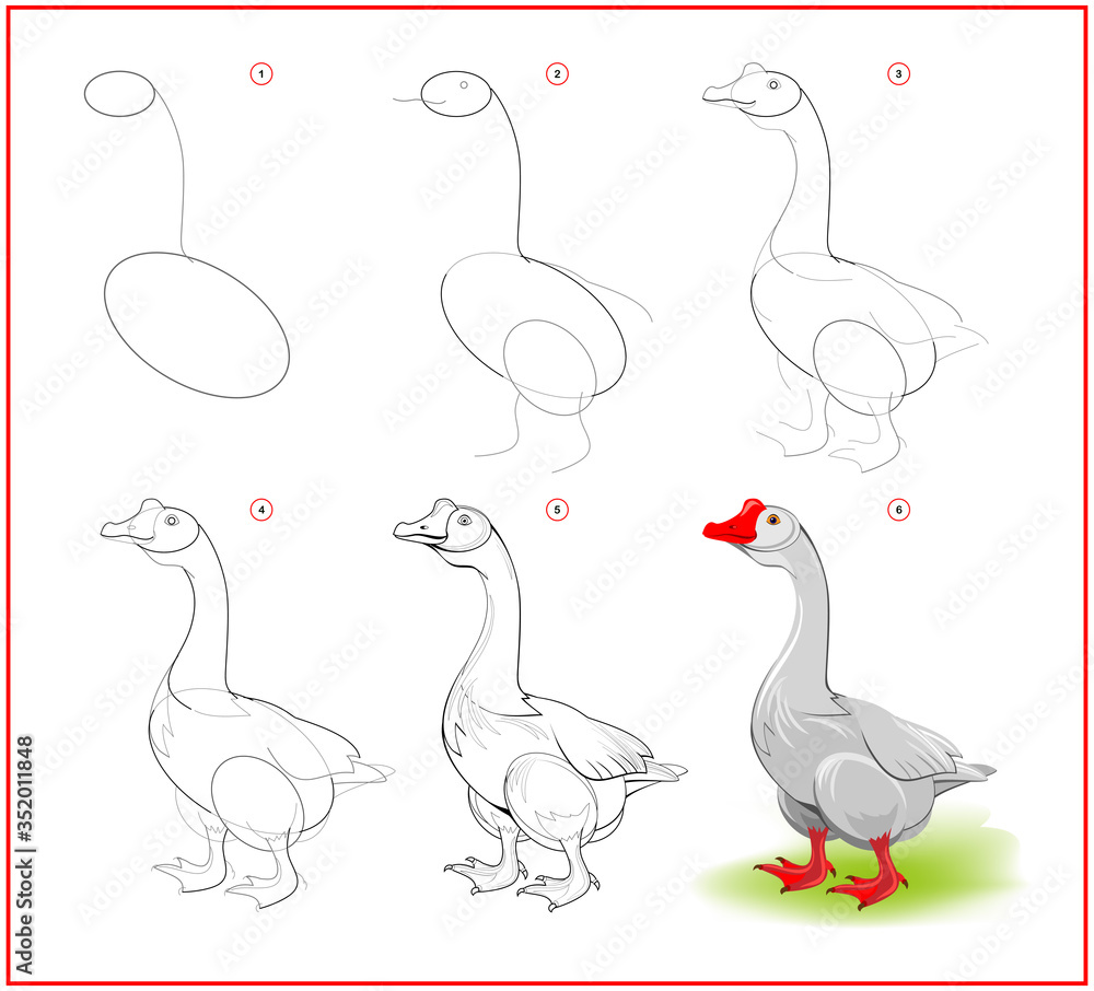 Page shows how to learn to draw step by step cute goose from farm ...
