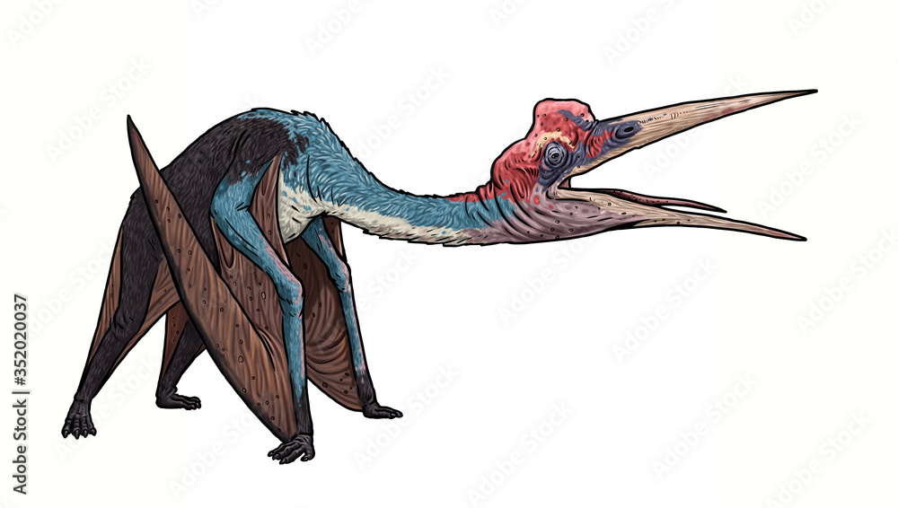 Prehistoric pterosaur - Quetzalcoatlus. Flying reptiles from jurassic ...