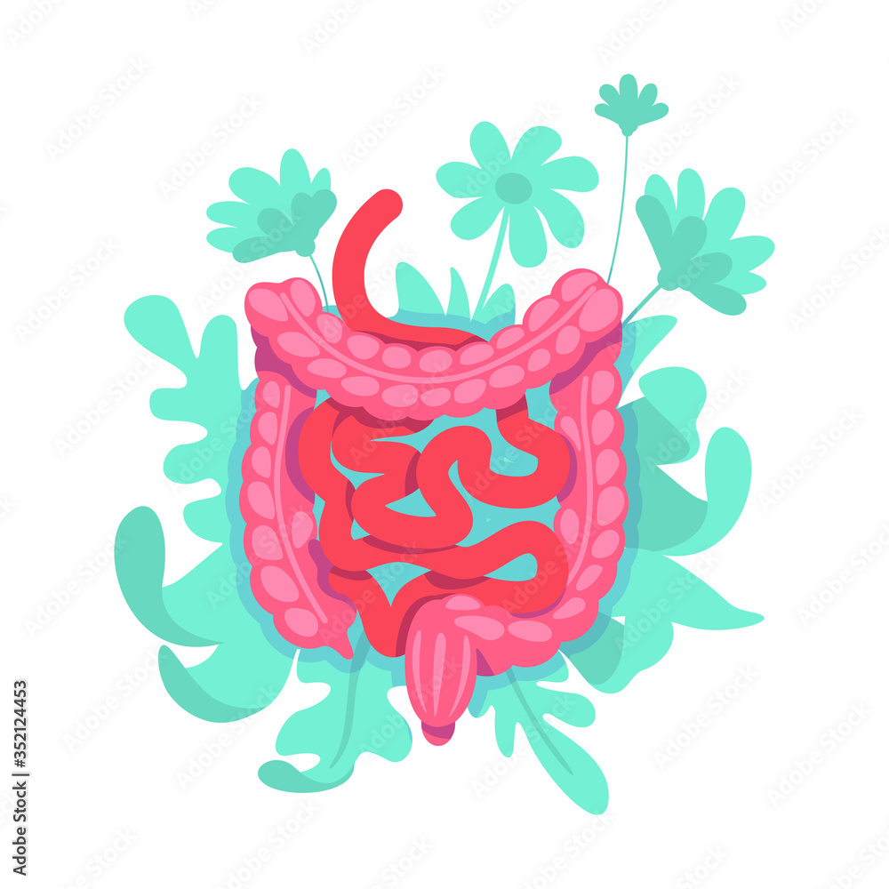 Large intestine flat concept vector illustration. Gastrointestinal ...