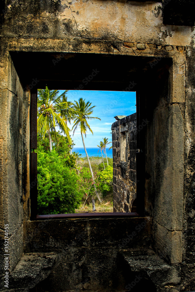 Trees Seen Through Window Of Old Abandoned Historic Building Stock ...