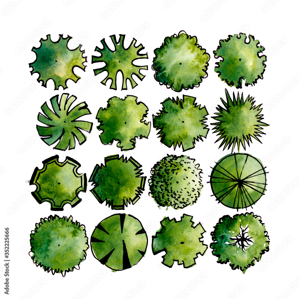 Symbols of Landscape architect plan design by watercolor hand drawn ...