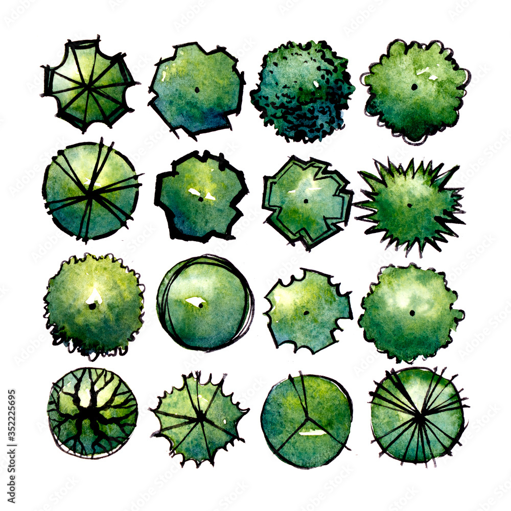 Symbols of Landscape architect plan design by watercolor hand drawn ...