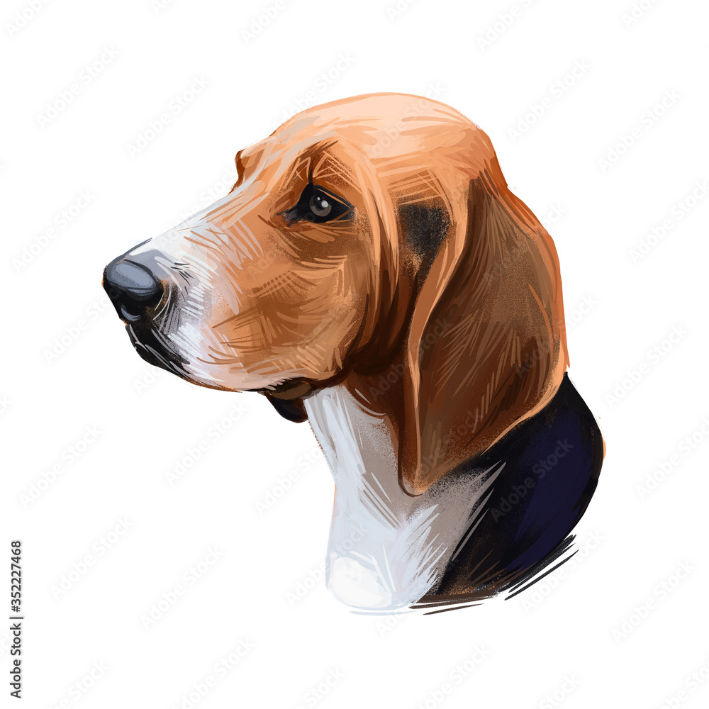 Trigg Hound Puppy isolated digital art illustration. Hand drawn dog ...