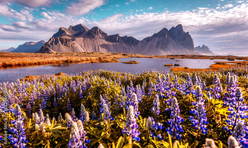 Sunny landscape of Iceland. Gorgeous view on Stokksnes cape and ...