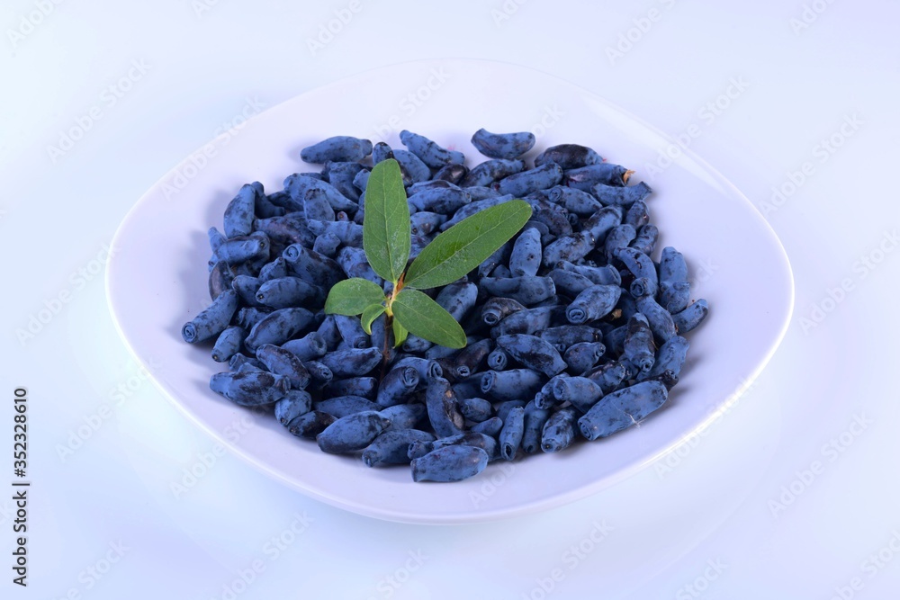Blue honeysuckle (Lonicera caerulea var. edulis). Known also as ...