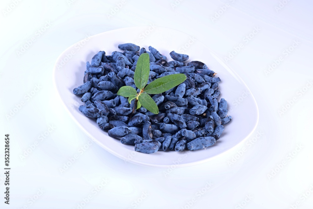 Blue honeysuckle (Lonicera caerulea var. edulis). Known also as ...