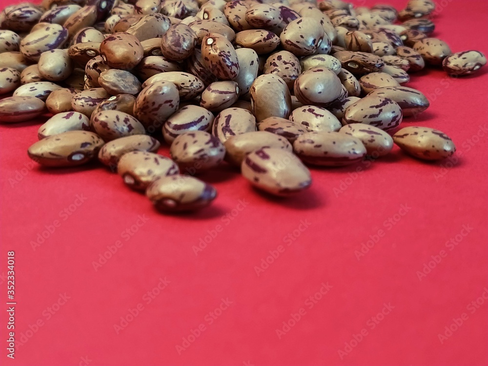 Motley bean seeds on bright red paper background. Free space for text ...