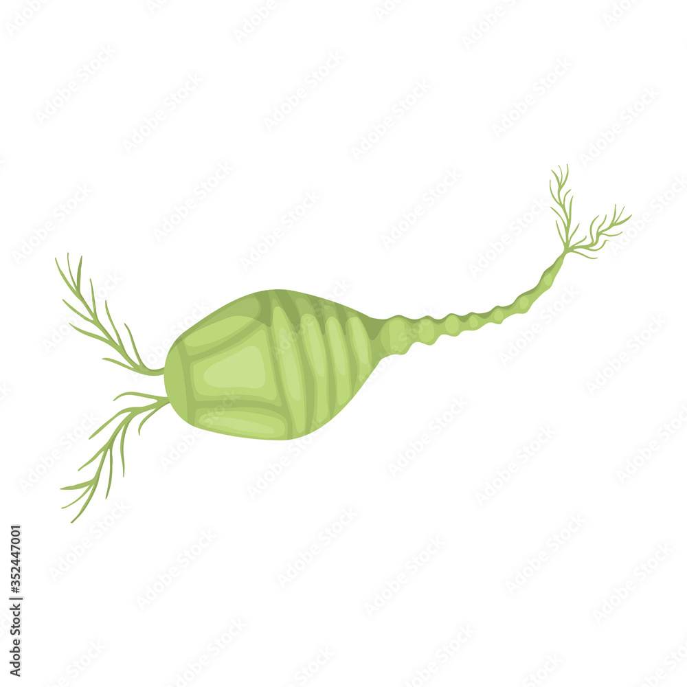 Plankton vector icon.Cartoon vector icon isolated on white background ...