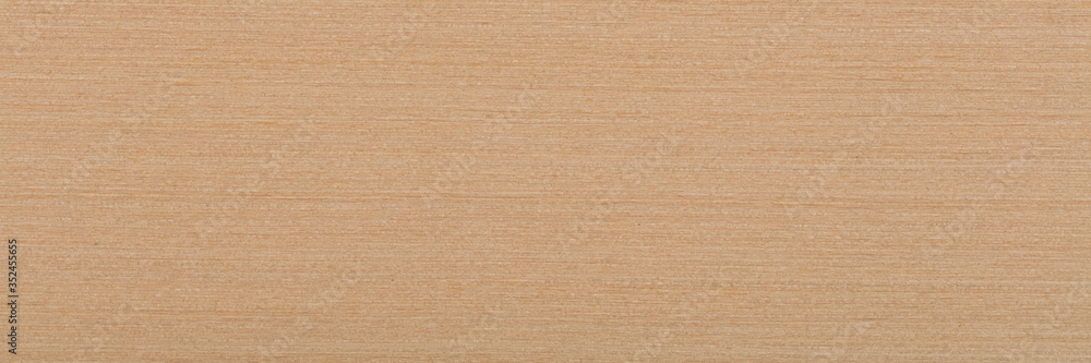 Light beige maple veneer background as part of your design. Natural ...