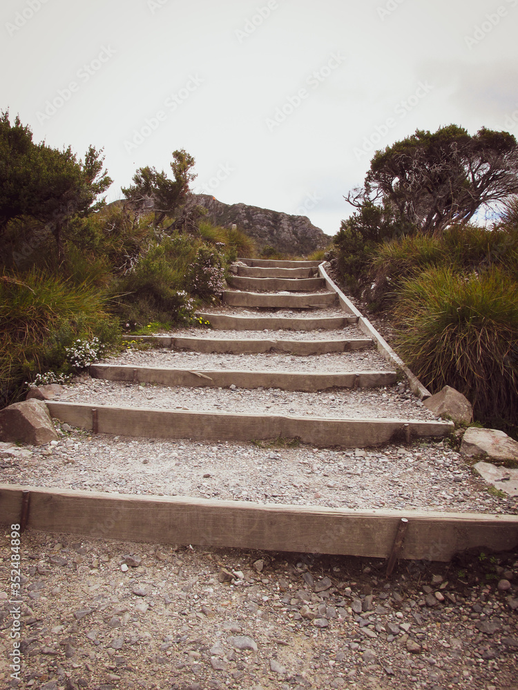 Steps at Cradle Mountain footpath planked by native flora. Suitable to ...