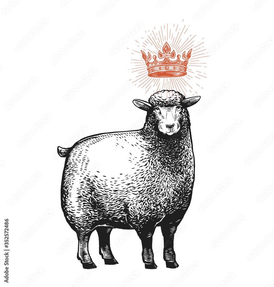 Vector Stylized Illustration of the Sheep with the crown over her head ...