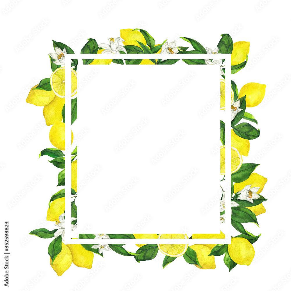 Fresh lemon fruits, citrus flowers and green leaves border on white ...