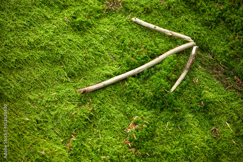 Wooden stick arrow sign at forest green mossy rock. Scavenger hunt game ...