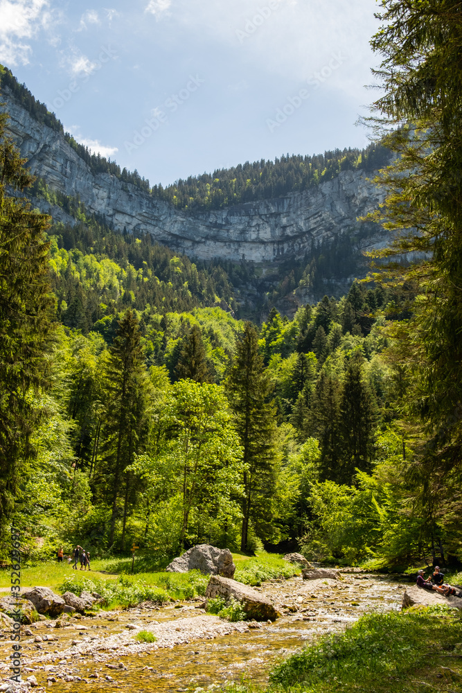 Forêt du parc naturel du cirque de saint même dans le massif de la ...