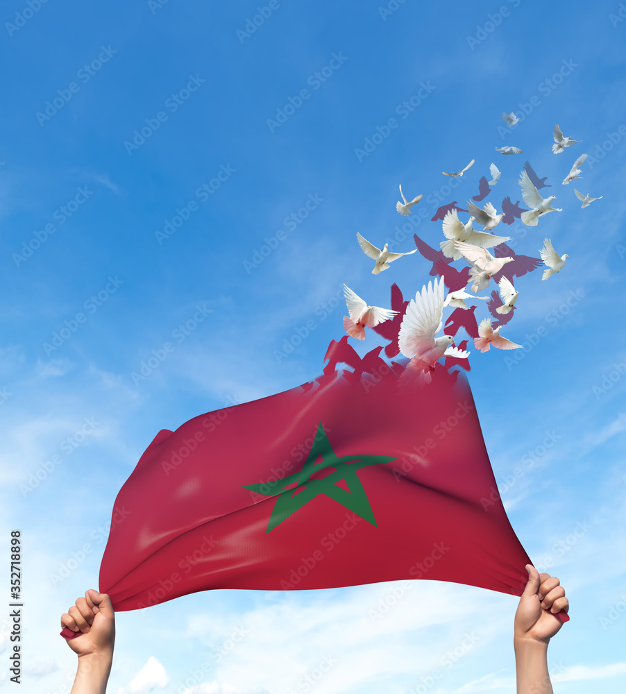 Two hands are holding a Morocco flag which morphs into birds while ...
